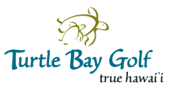 arnold palmer course at turtle bay resort